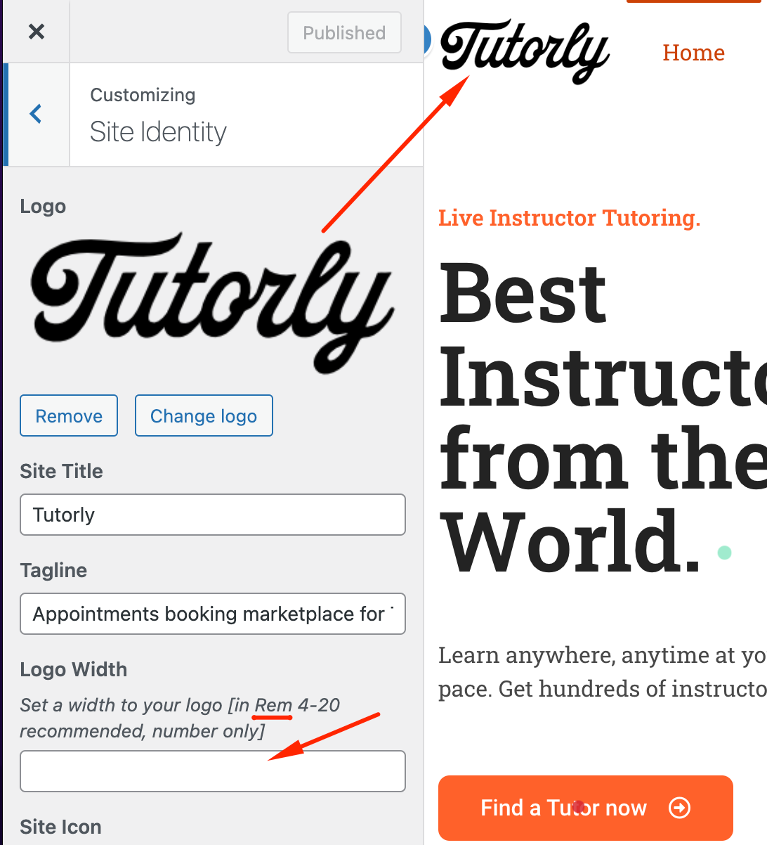 Changing Logo Appointments Marketplace Wordpress